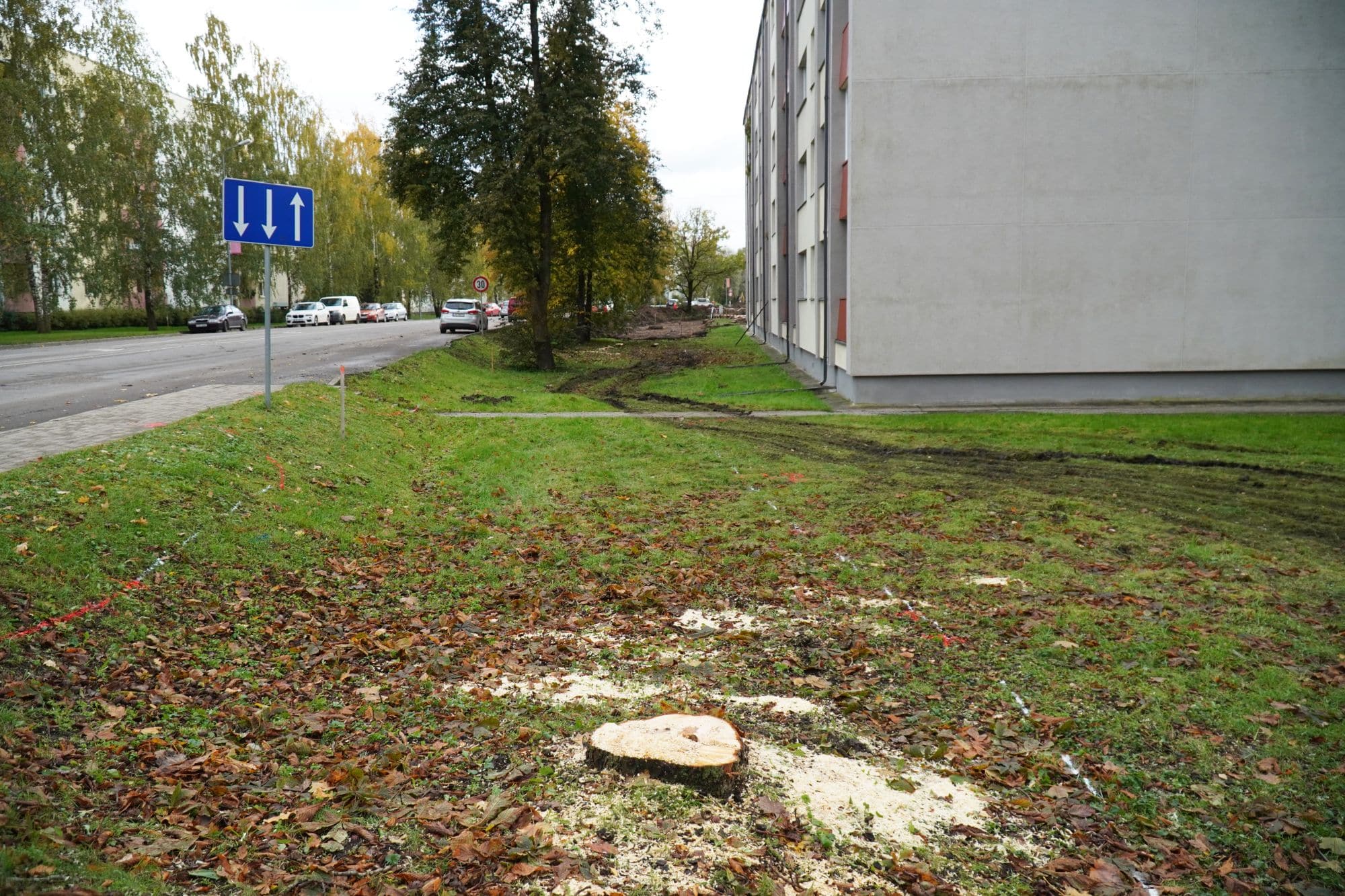 Gājēju un velobraucēju drošībai un ērtībām izzāģē kokus - ReTalsi