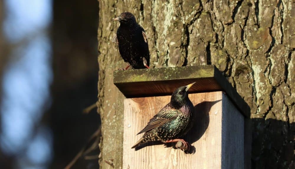 ReTalsi - Viss aktuālais Talsu novadā